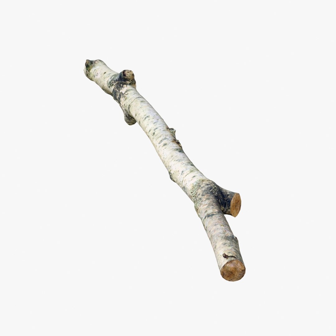 3D Realistic Branch 02 Model - TurboSquid 1218187