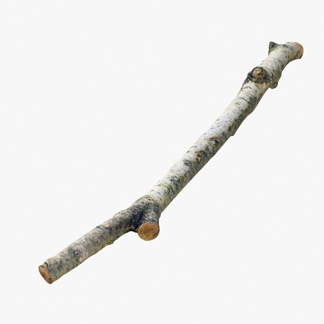 3D Realistic Branch 02 Model - TurboSquid 1218187