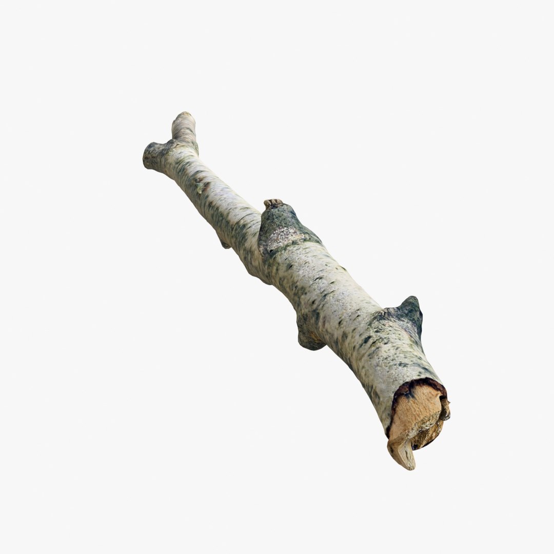 3D Realistic Branch 02 Model - TurboSquid 1218187