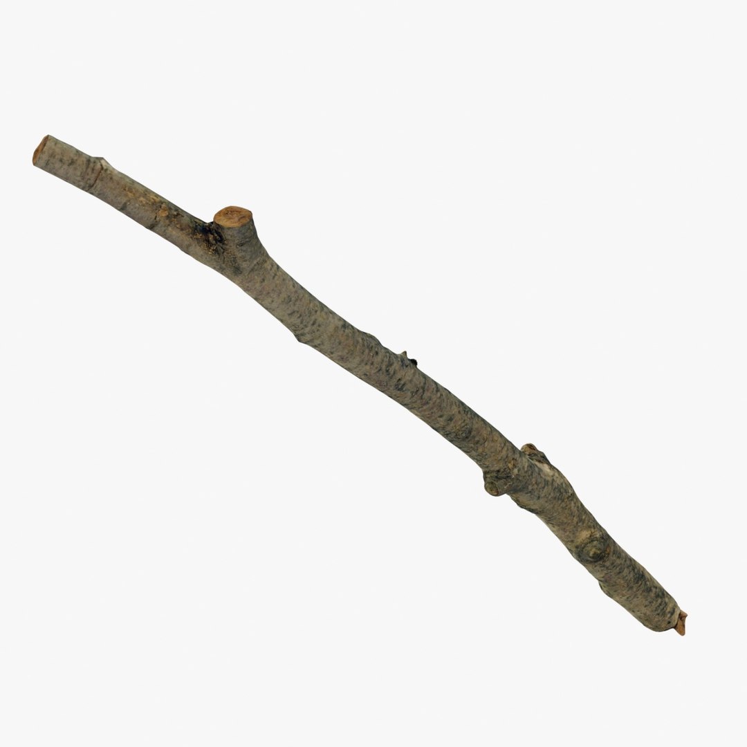 3D Realistic Branch 02 Model - TurboSquid 1218187