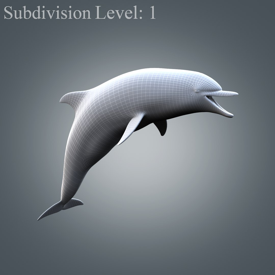 Realistic Dolphin Rig 3d Model
