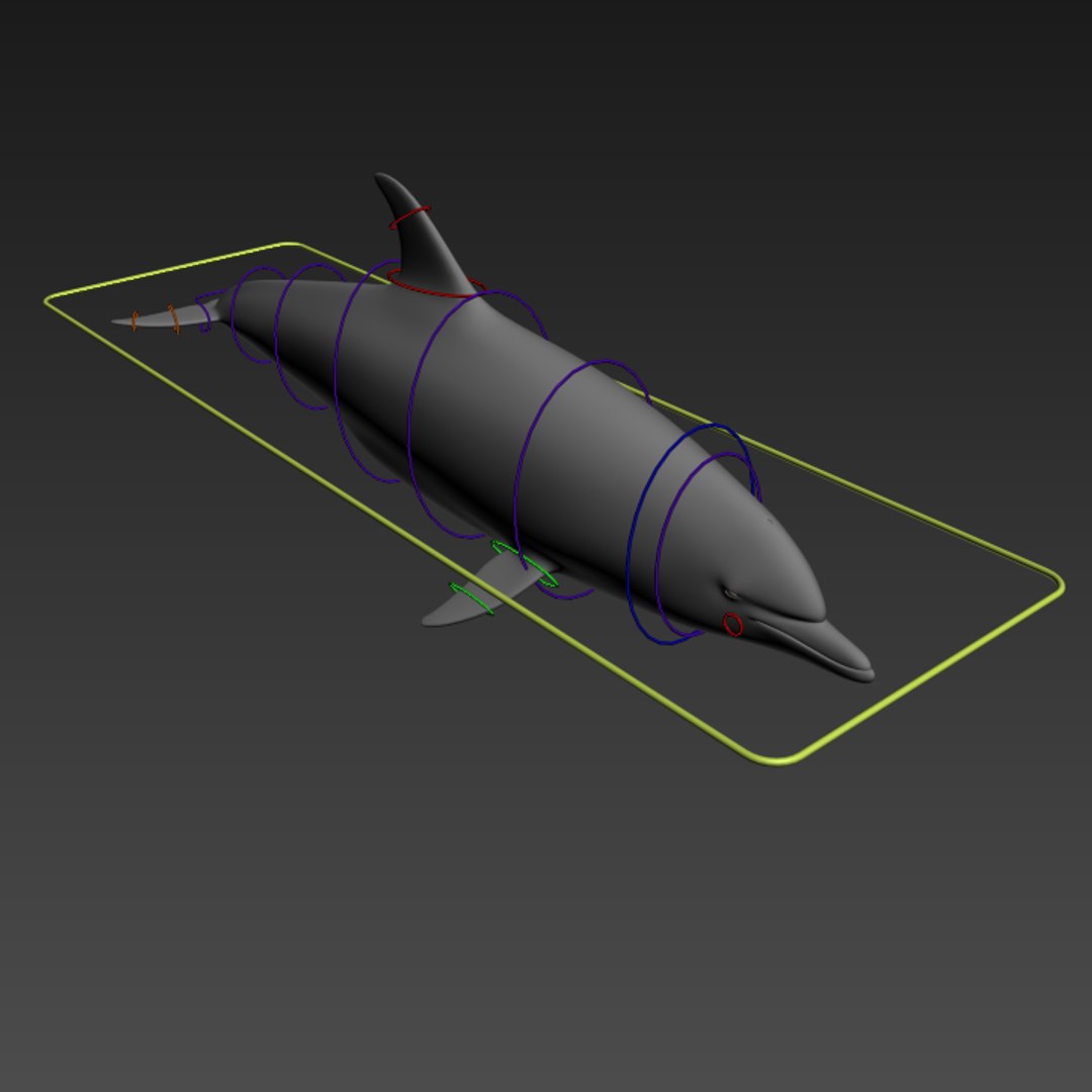 Realistic Dolphin Rig 3d Model