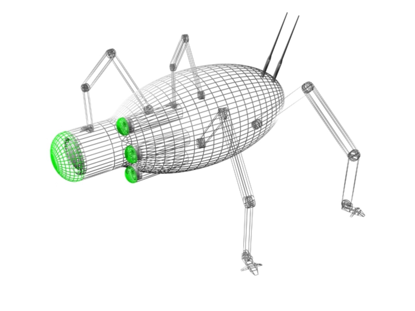 3d model robotic insect