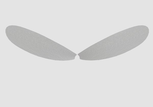 3D simple transparent wings model - TurboSquid 1907818