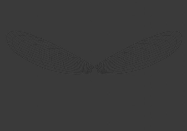 3D simple transparent wings model - TurboSquid 1907818