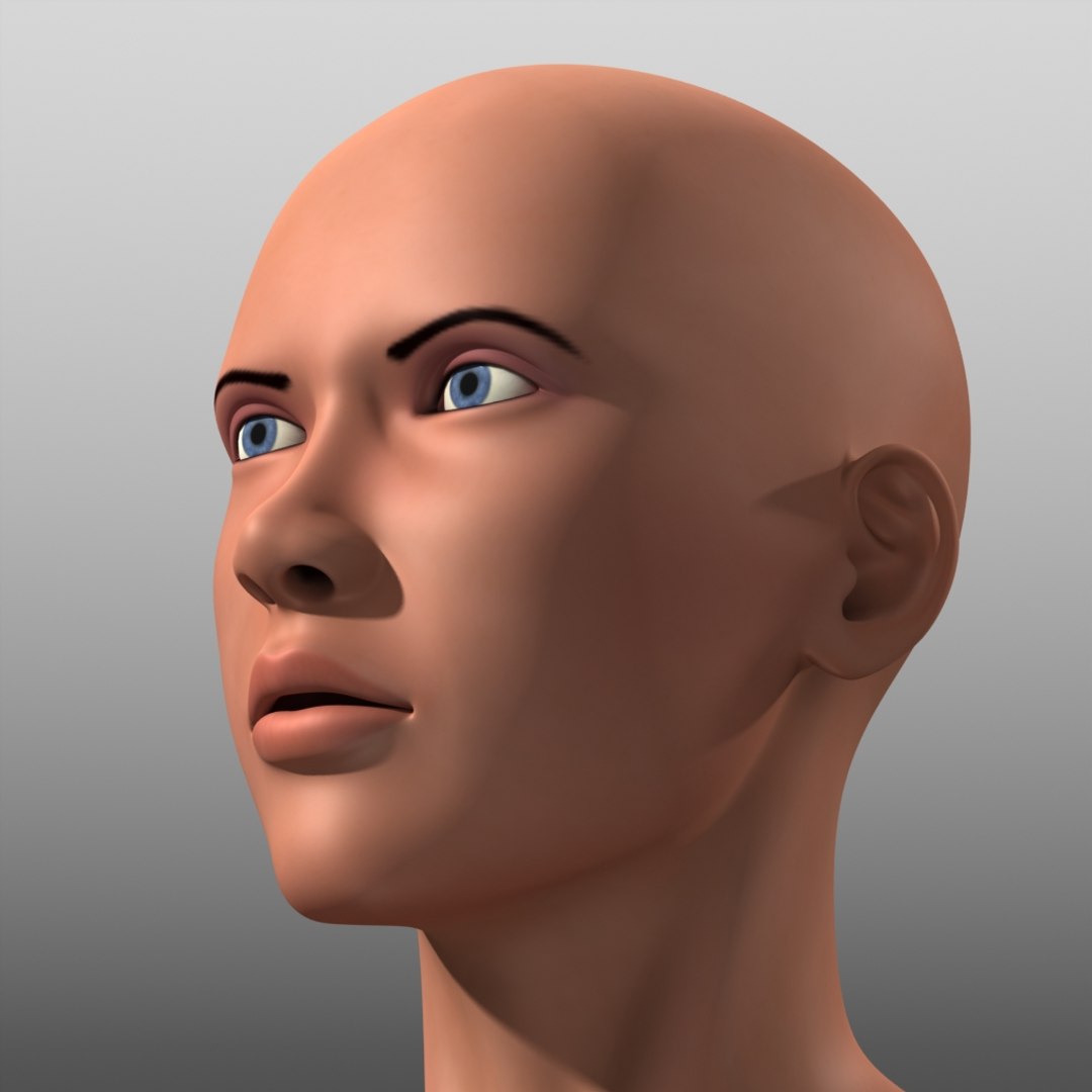 3d Model Of Character Female Amazon