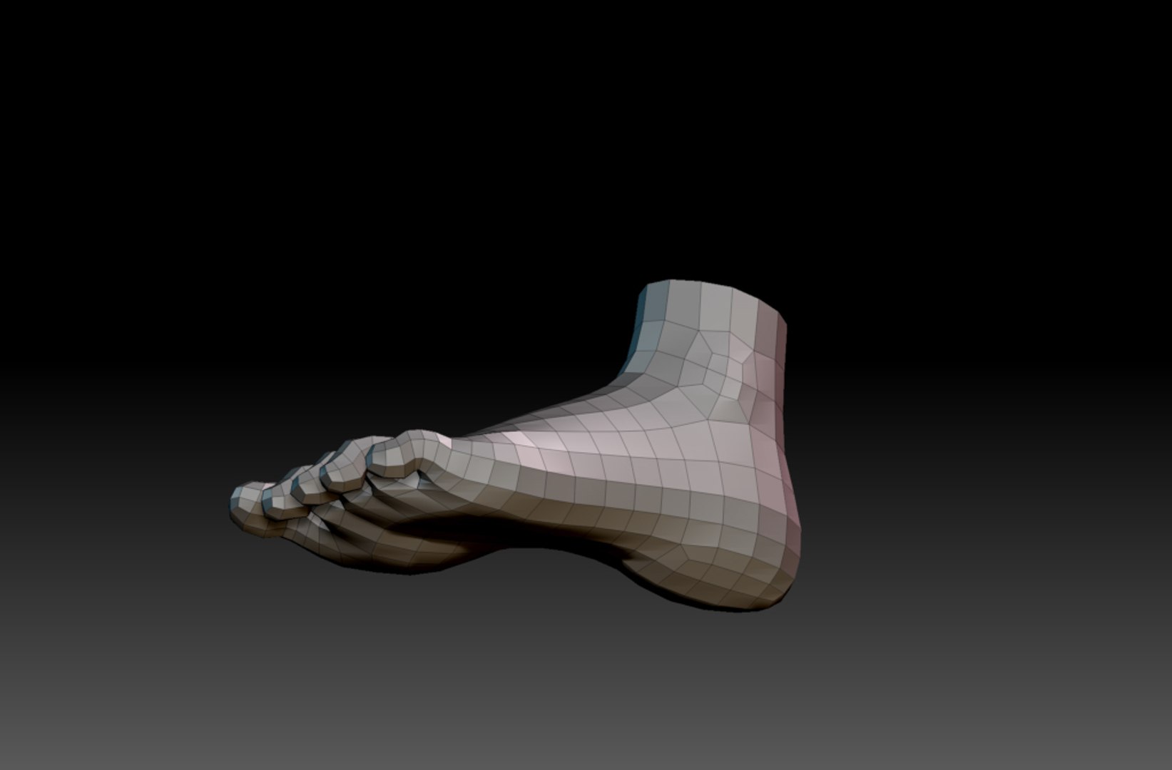 3d Model Of Feet