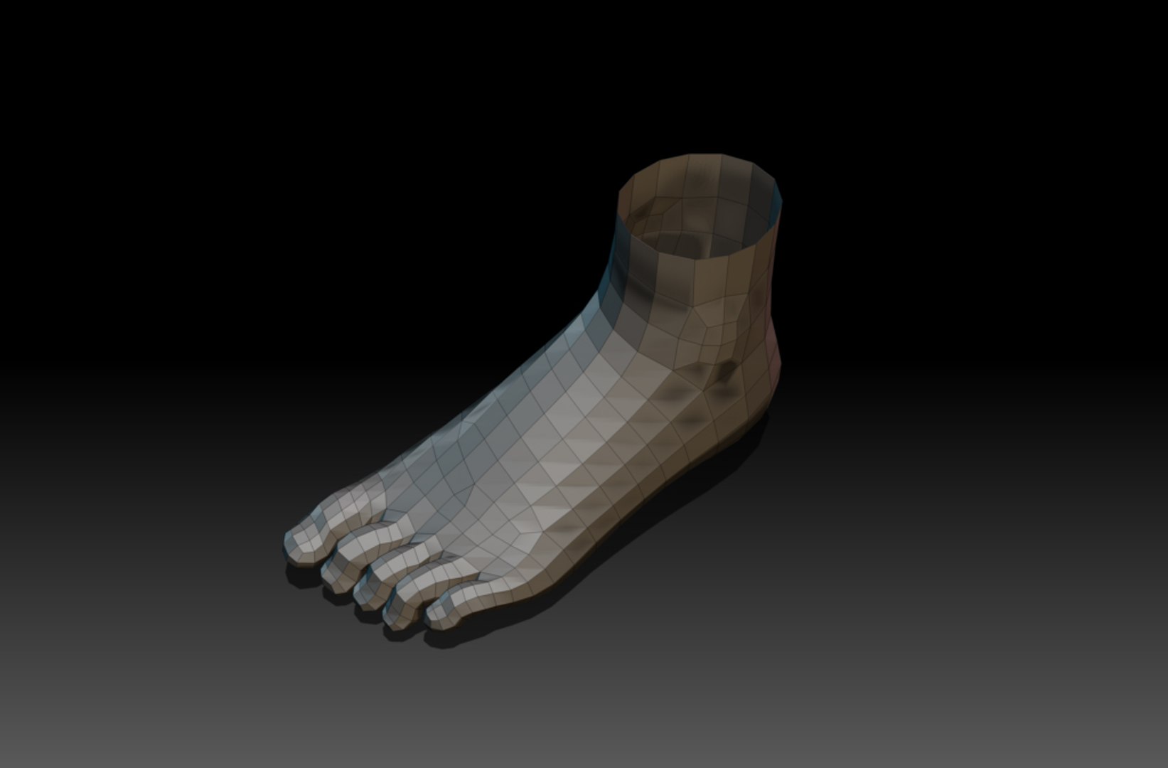 3d Model Of Feet