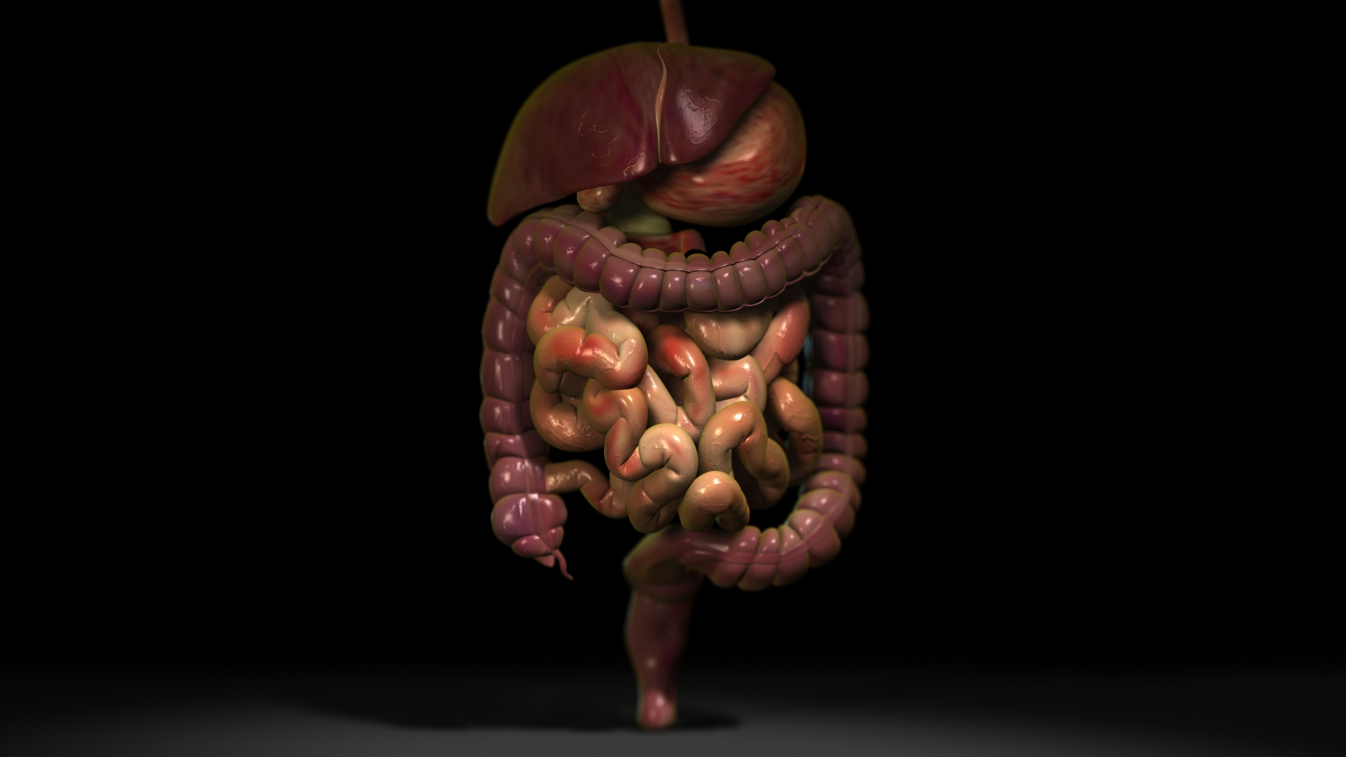 3D Digestive Scanline - TurboSquid 1988948