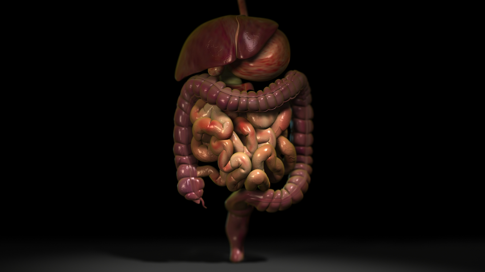 3D Digestive Scanline - TurboSquid 1988948