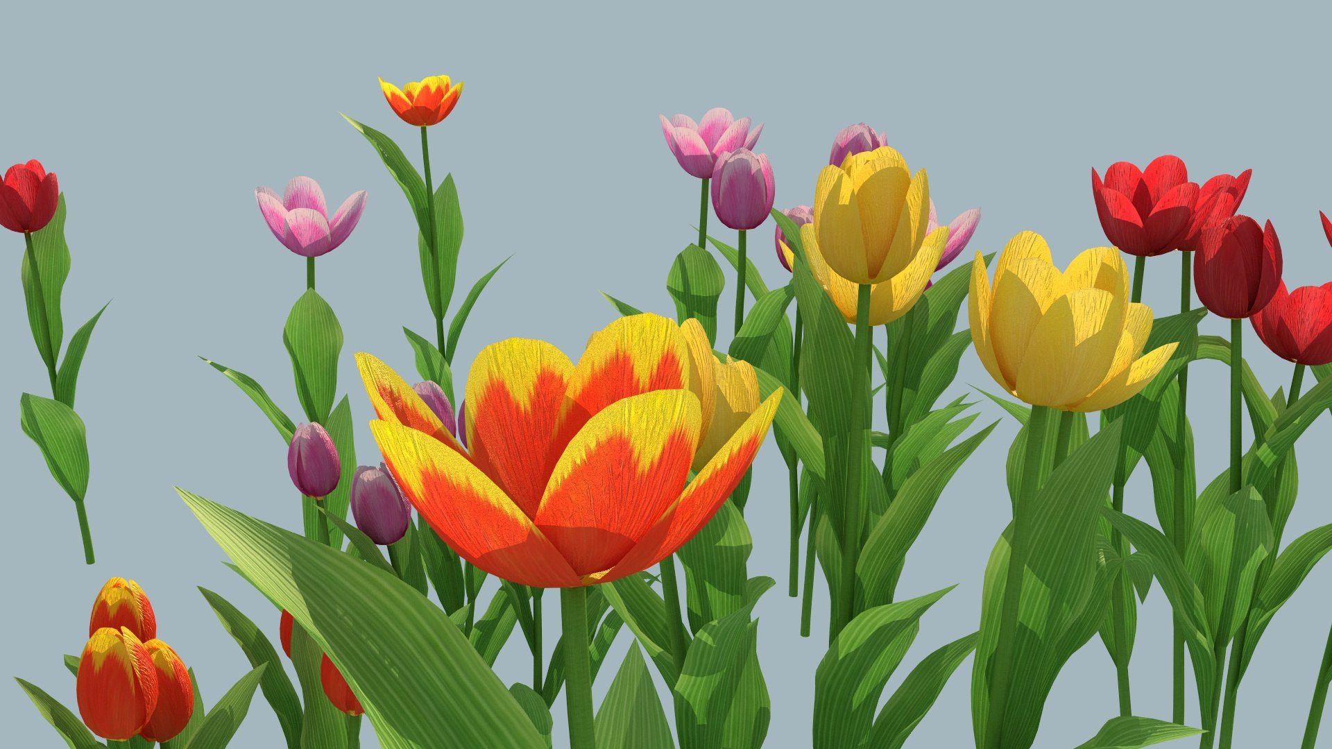 Tulip Flowers Different Colors 3D Model - TurboSquid 2174471