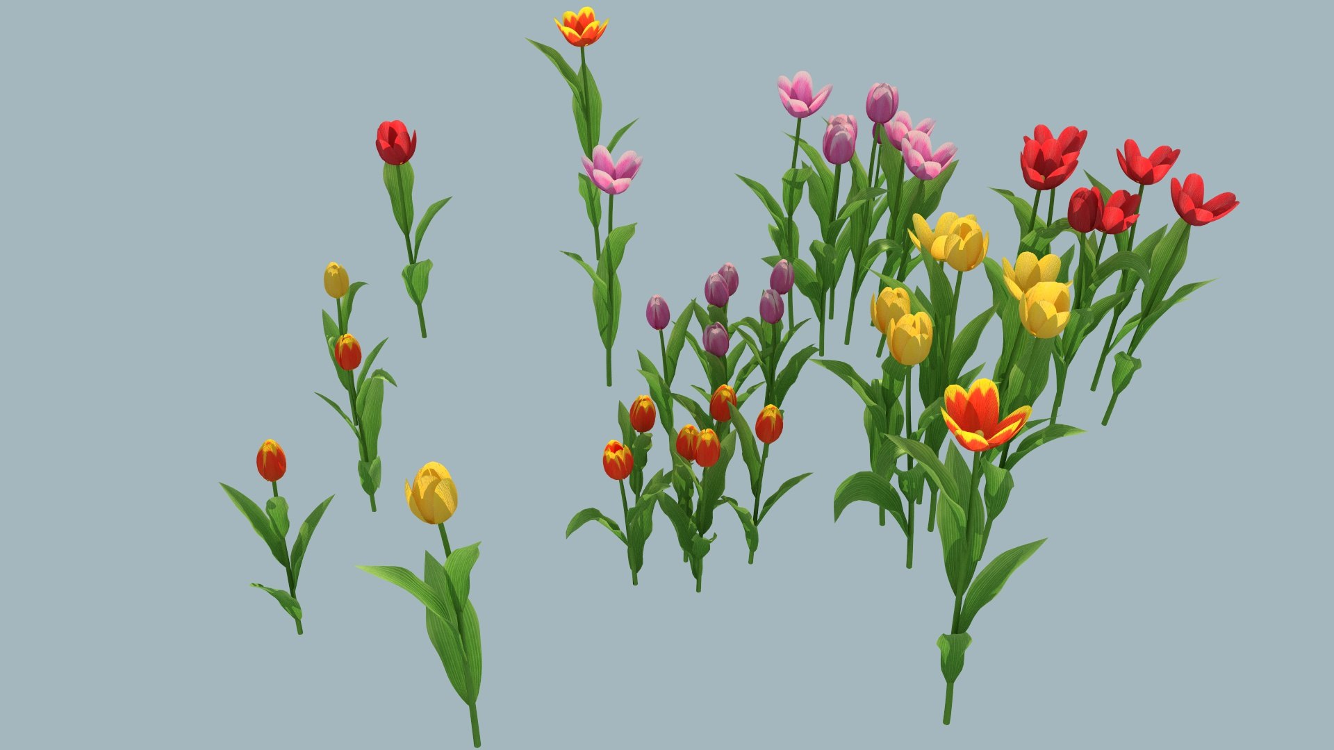 Tulip Flowers Different Colors 3D Model - TurboSquid 2174471