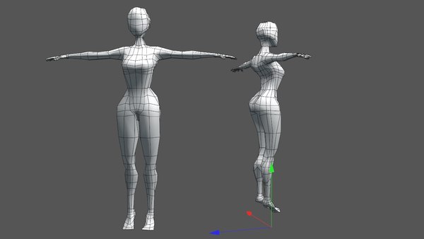 3d model of female body meshes