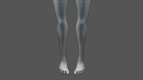 3d model of female body meshes