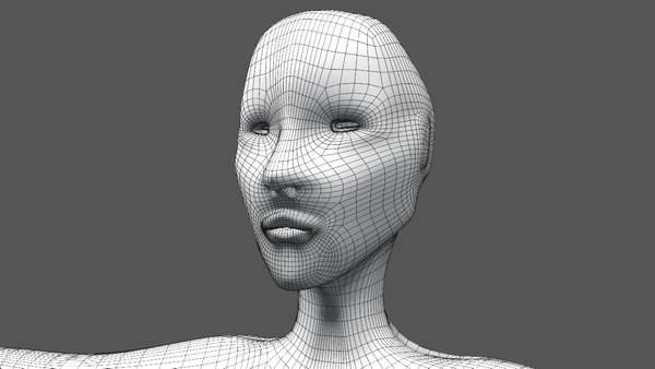 3d model of female body meshes
