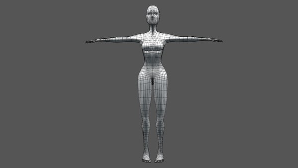 3d model of female body meshes