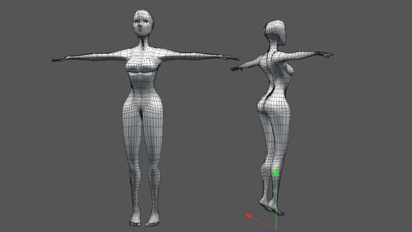 3d model of female body meshes