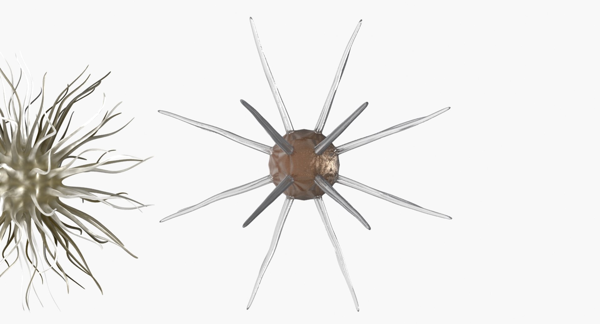 Plankton 3D Model - TurboSquid 1203616