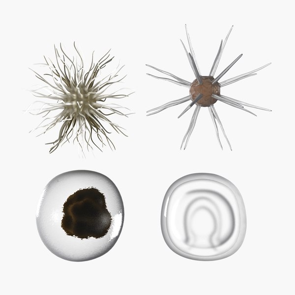 Free 3D Plankton Models | TurboSquid