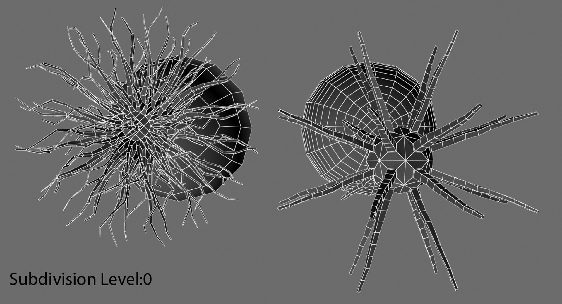 Plankton 3D Model - TurboSquid 1203616