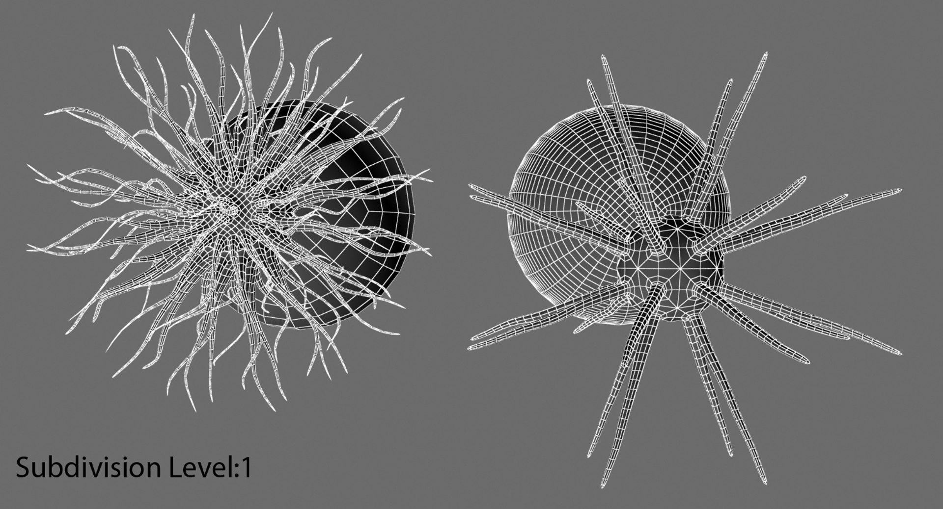 Plankton 3D Model - TurboSquid 1203616
