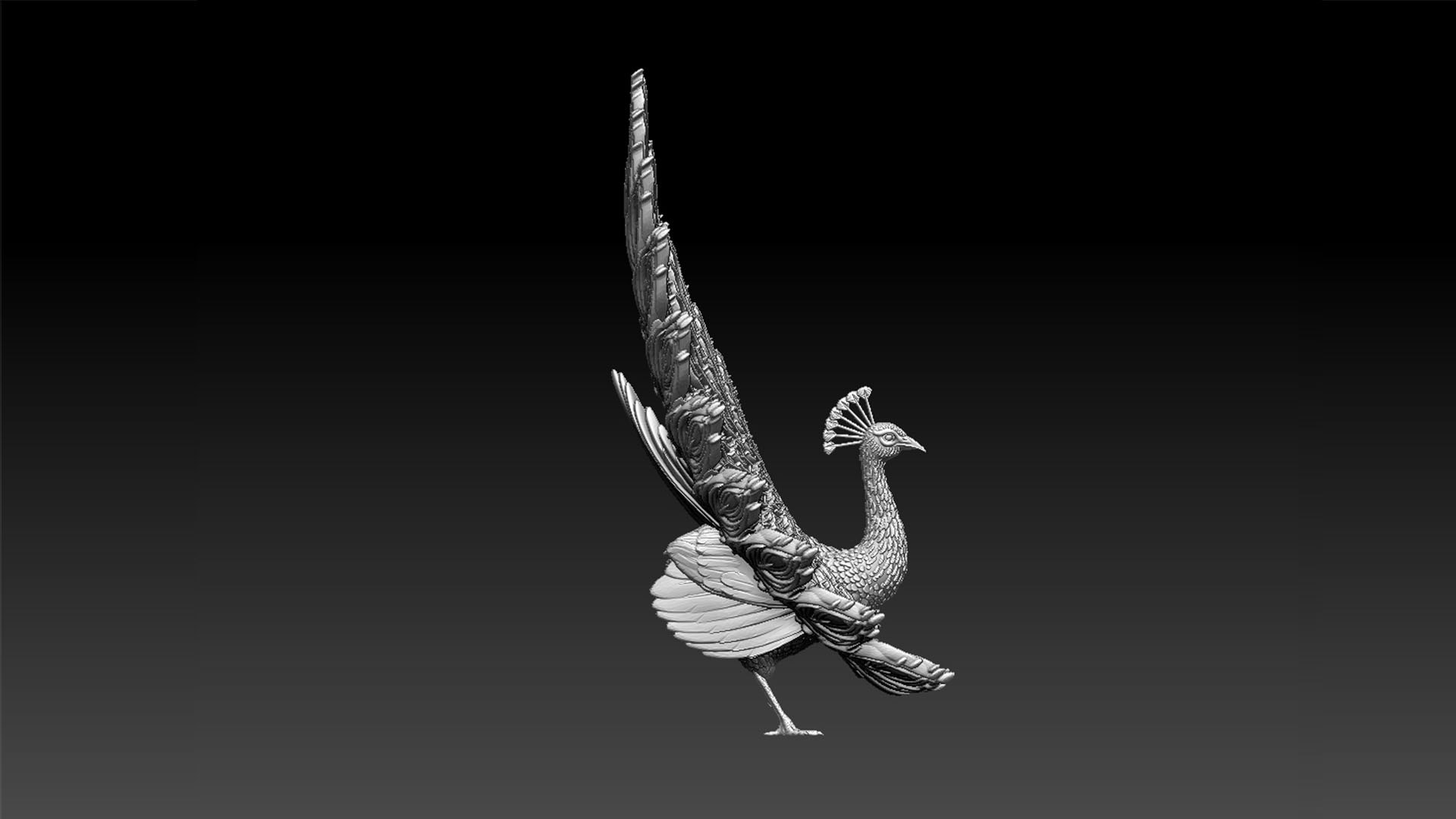 Peacock Model - TurboSquid 1957520