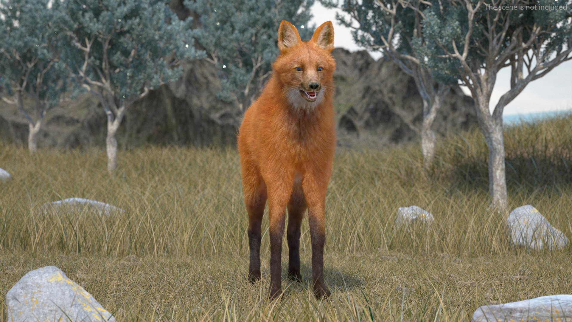 3D Maned Wolf Fur Model - TurboSquid 2198748
