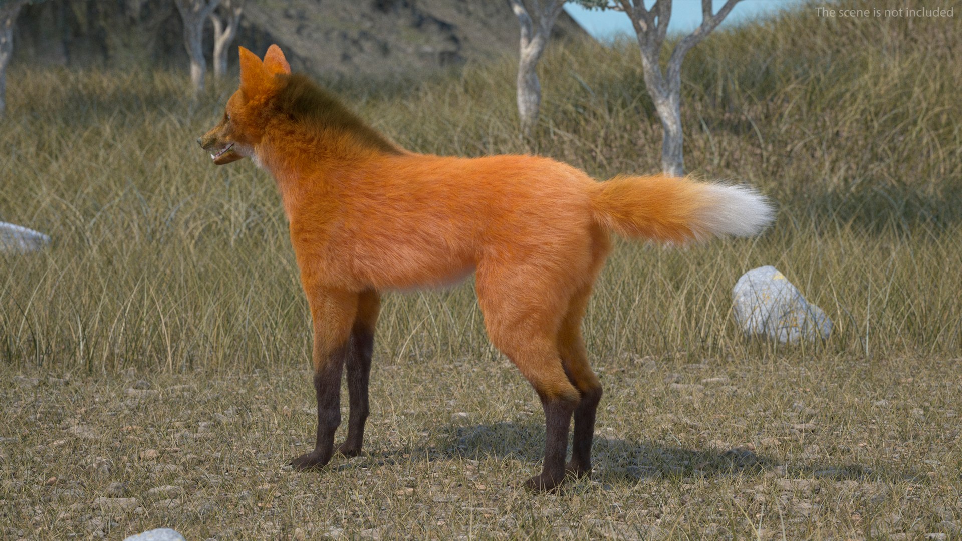 3D Maned Wolf Fur Model - TurboSquid 2198748