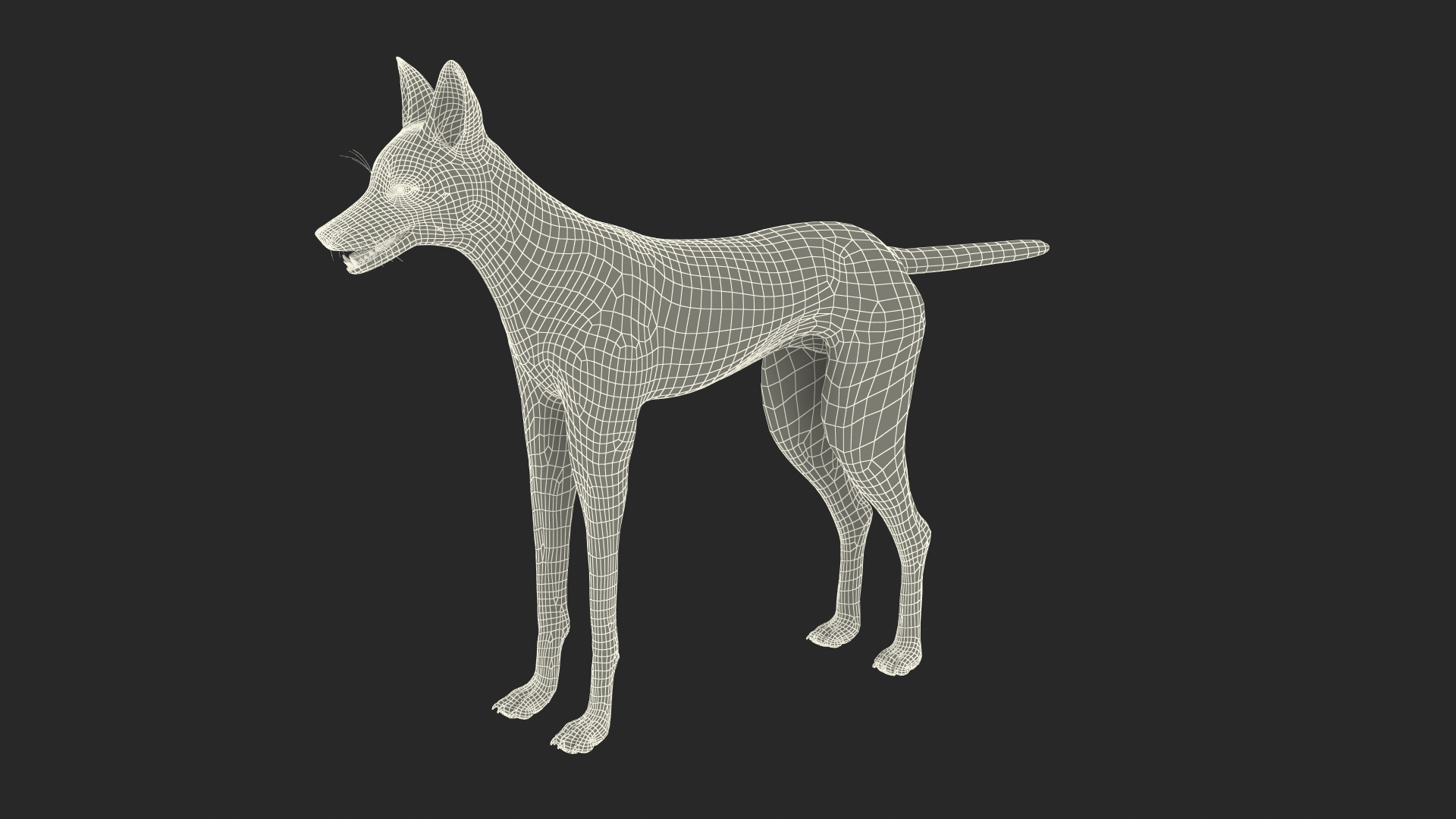 3D Maned Wolf Fur Model - TurboSquid 2198748