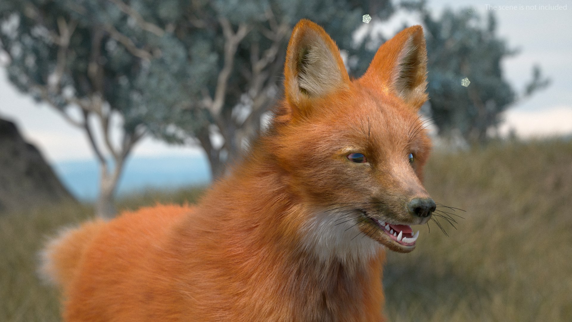 3D Maned Wolf Fur Model - TurboSquid 2198748