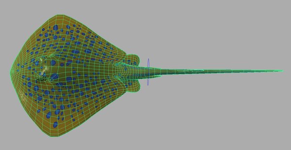 stingray customized rig sets 3d model