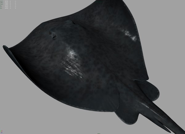 stingray customized rig sets 3d model