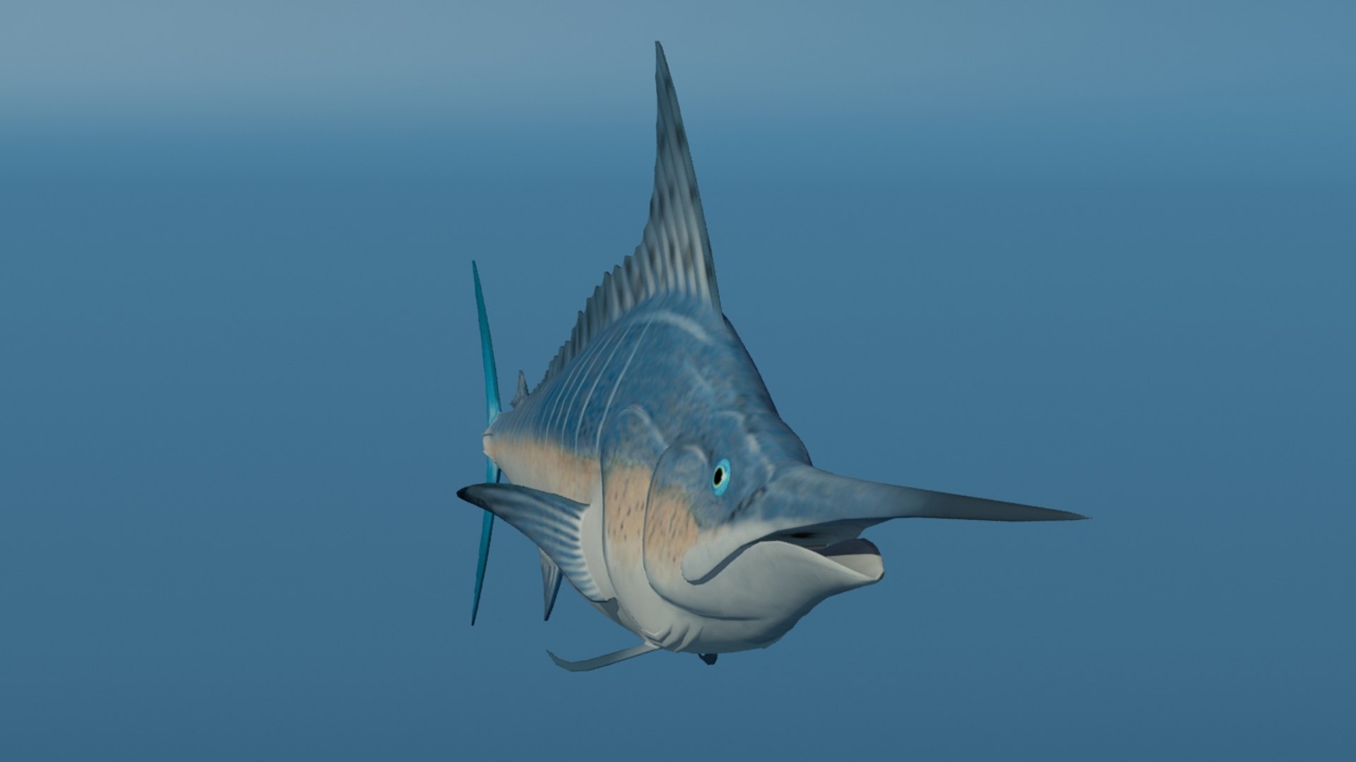 Blue Marlin 3d Model