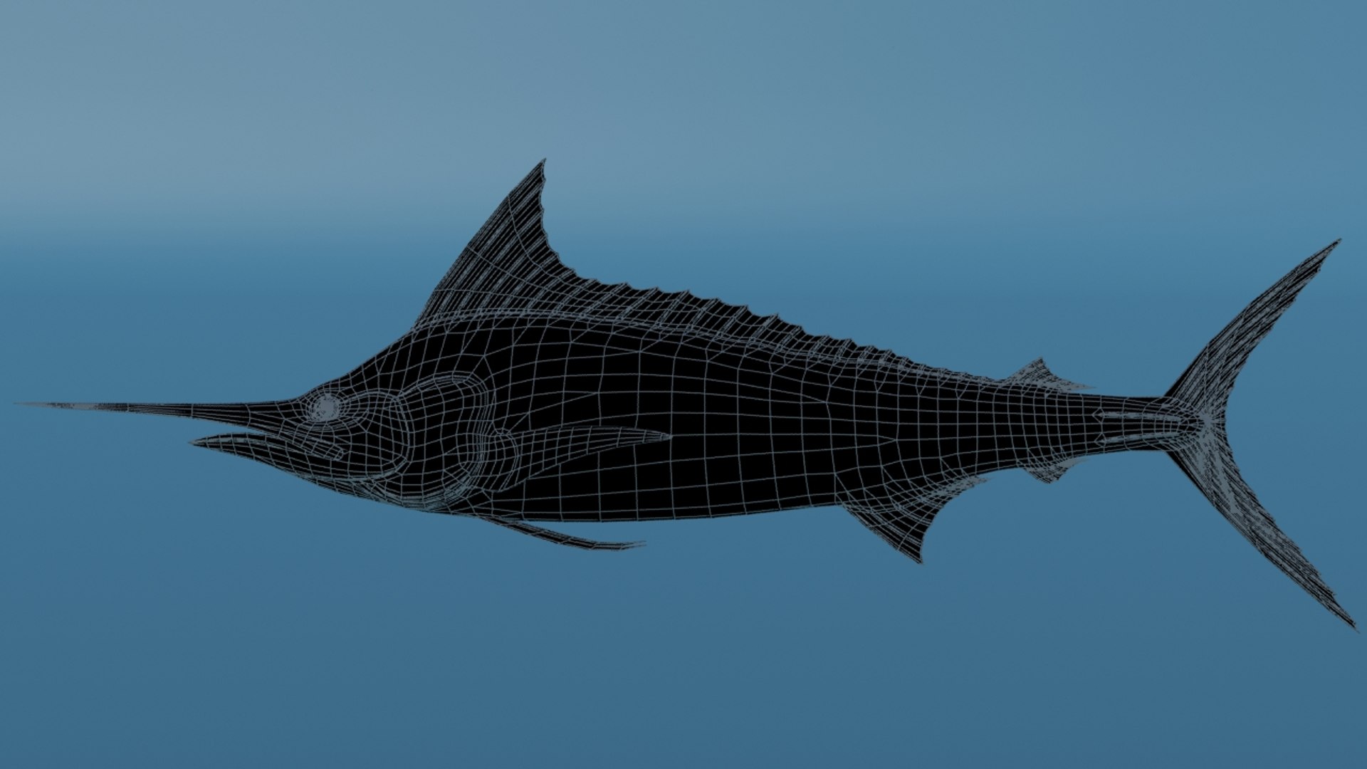 Blue Marlin 3d Model