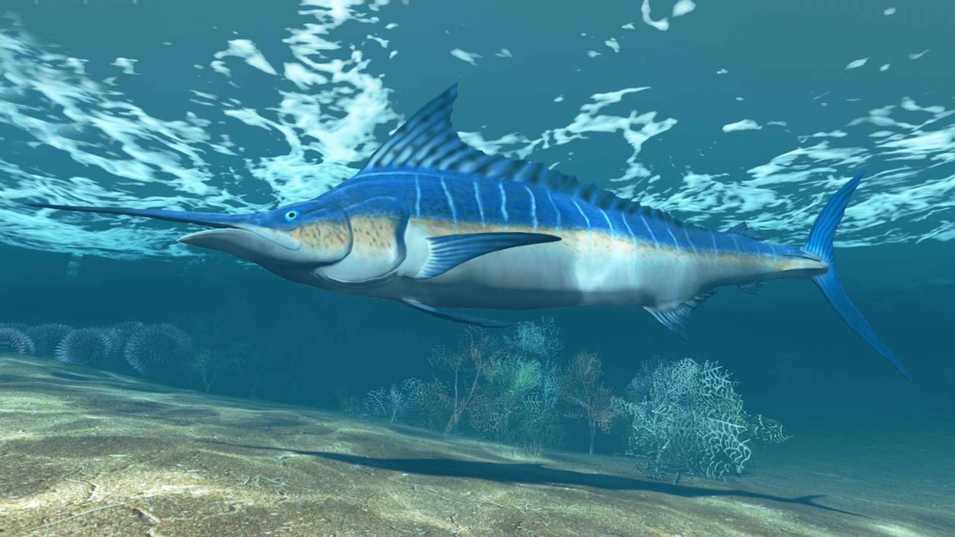Blue Marlin 3d Model
