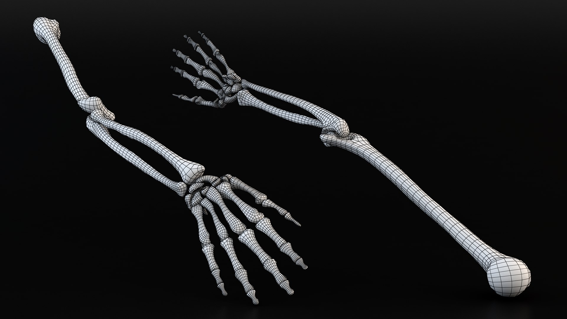 3D Skeleton Arm - TurboSquid 2297772