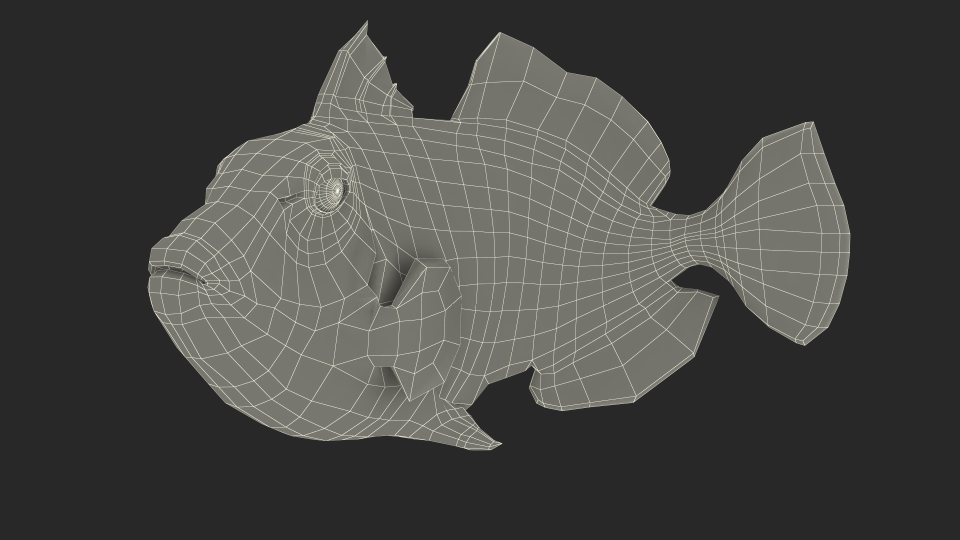 3D Balistoides Conspicillum Or Bigspotted Triggerfish Model - TurboSquid 2264718
