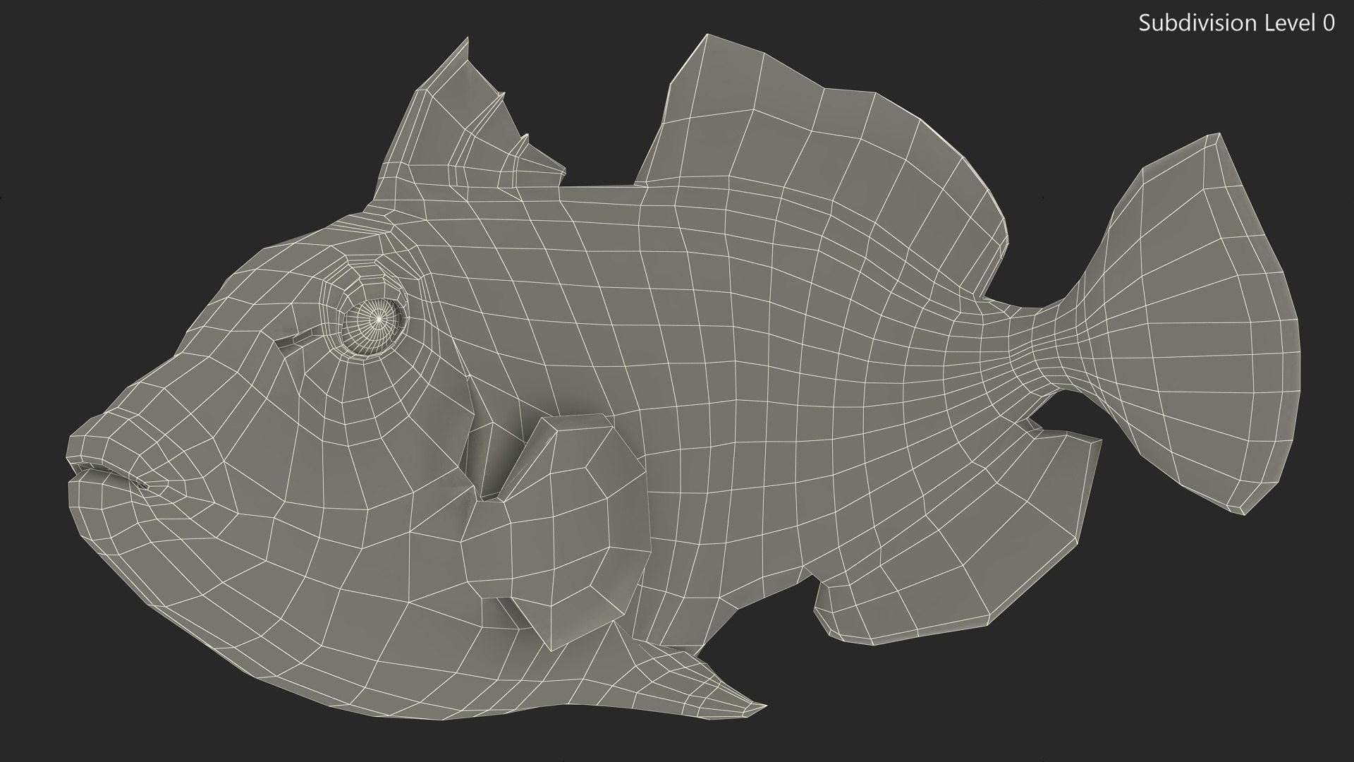 3D Balistoides Conspicillum Or Bigspotted Triggerfish Model - TurboSquid 2264718