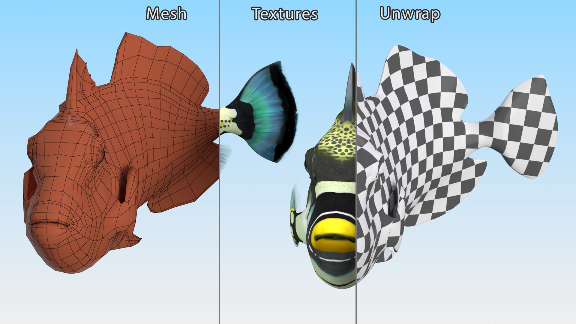 3D Balistoides Conspicillum Or Bigspotted Triggerfish Model - TurboSquid 2264718