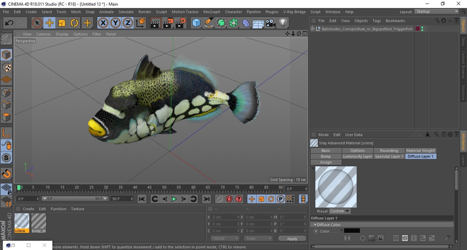 3D Balistoides Conspicillum Or Bigspotted Triggerfish Model - TurboSquid 2264718