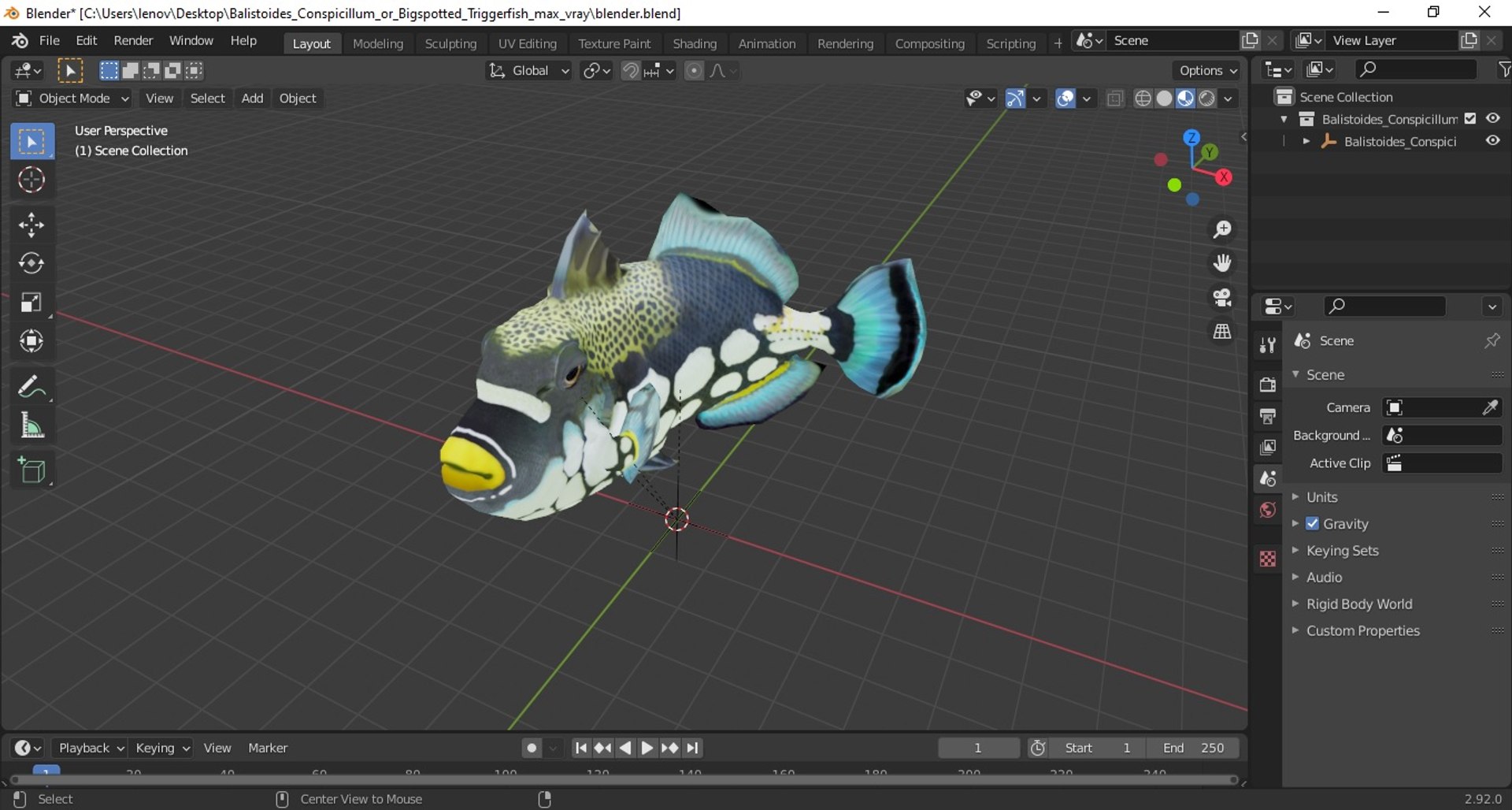 3D Balistoides Conspicillum Or Bigspotted Triggerfish Model - TurboSquid 2264718