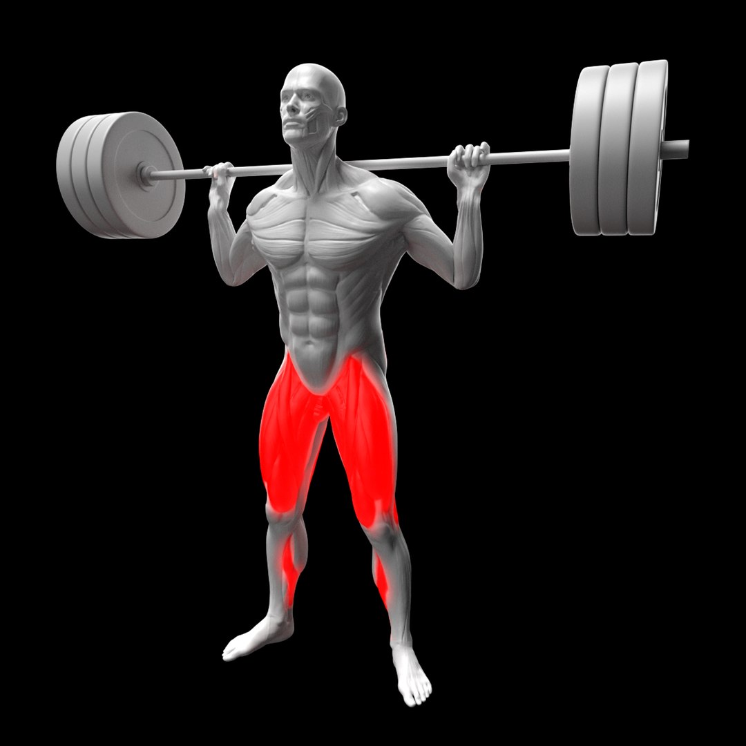 3D Leg Exercises Pack - Leg Curl - Leg Extension - Leg Press - Squat ...