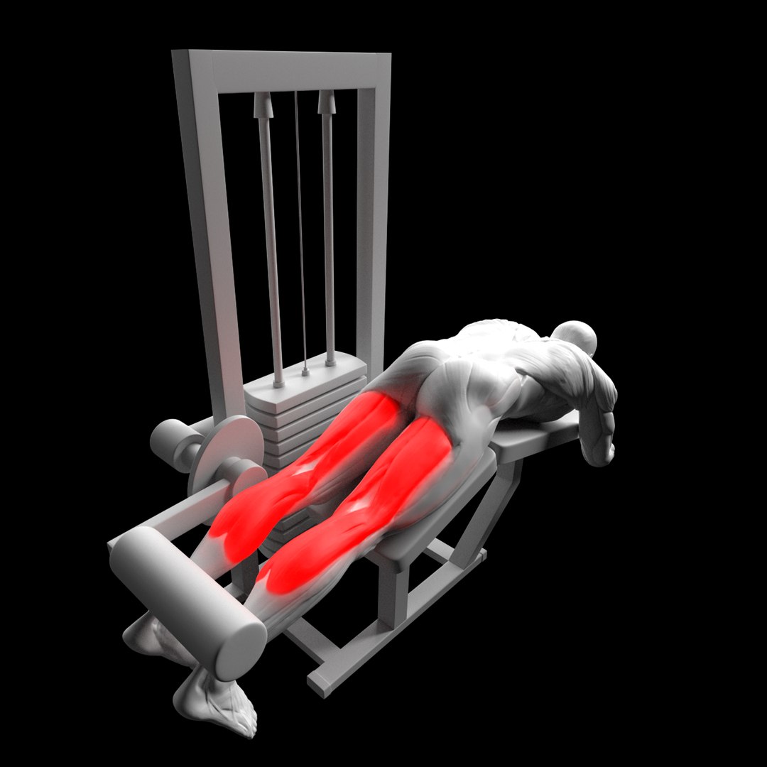 3D Leg Exercises Pack - Leg Curl - Leg Extension - Leg Press - Squat ...