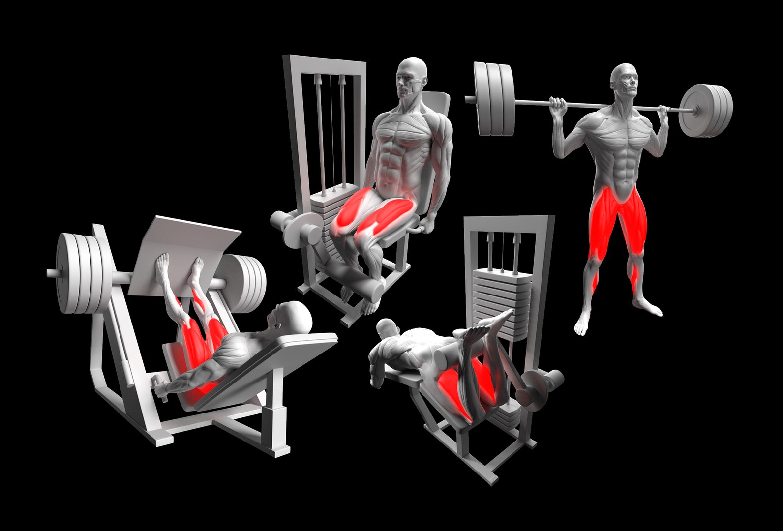 3D Leg Exercises Pack - Leg Curl - Leg Extension - Leg Press - Squat ...