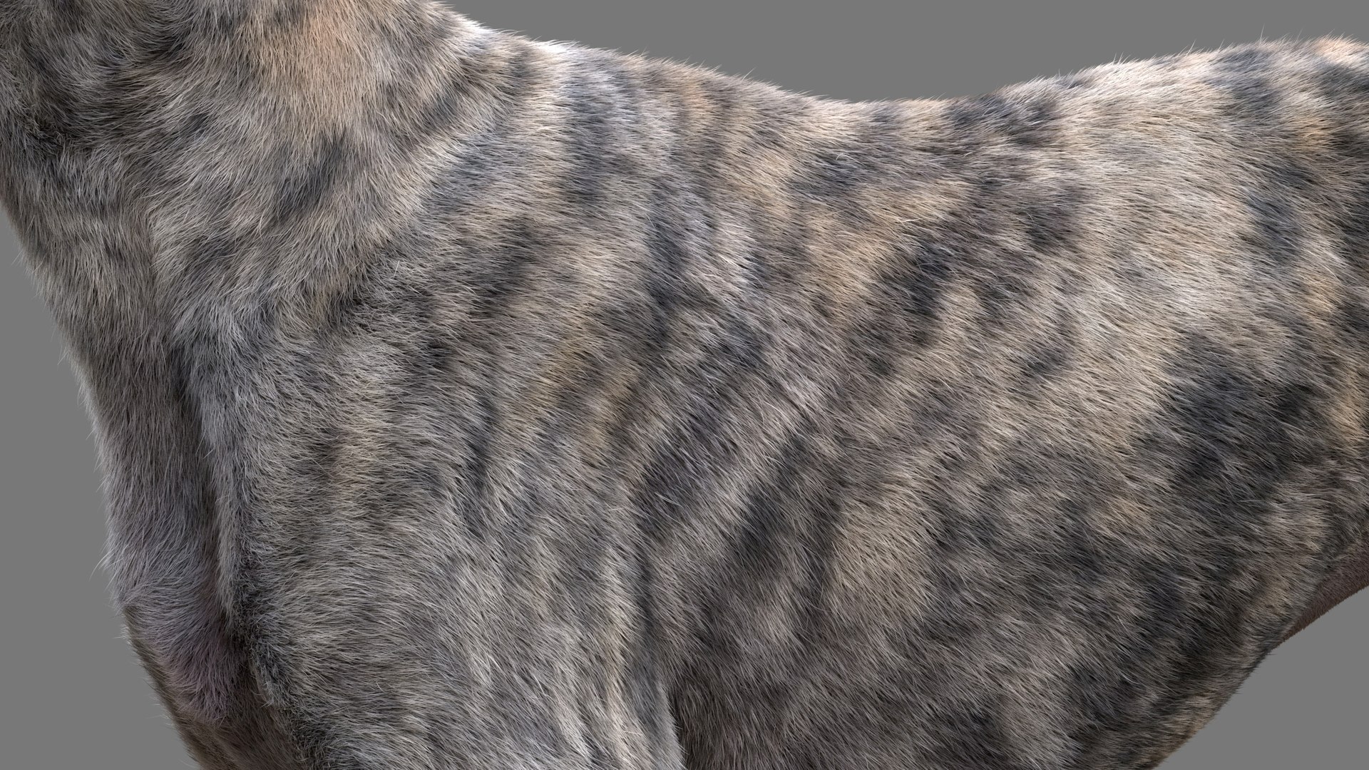 Realistic greyhound fur 2 3D model - TurboSquid 1547638