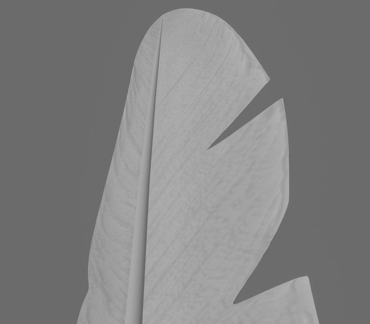 3D Quill Model - TurboSquid 1663207