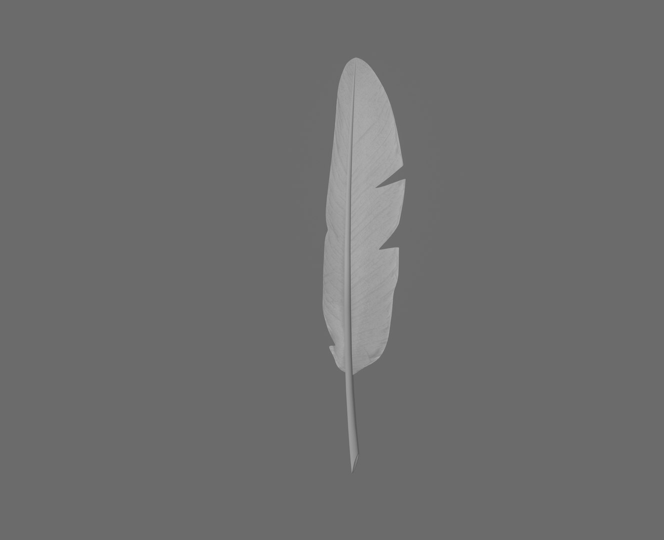 3D Quill Model - TurboSquid 1663207