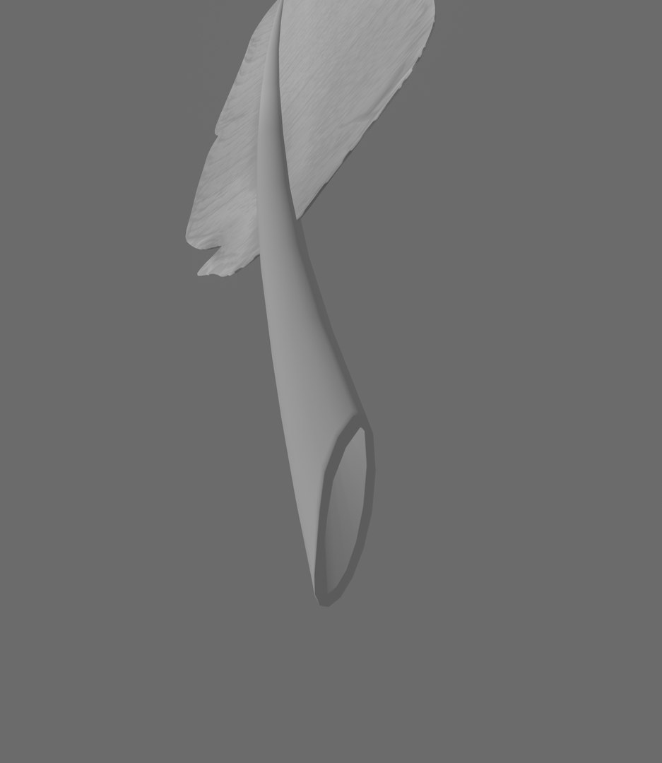 3D Quill Model - TurboSquid 1663207