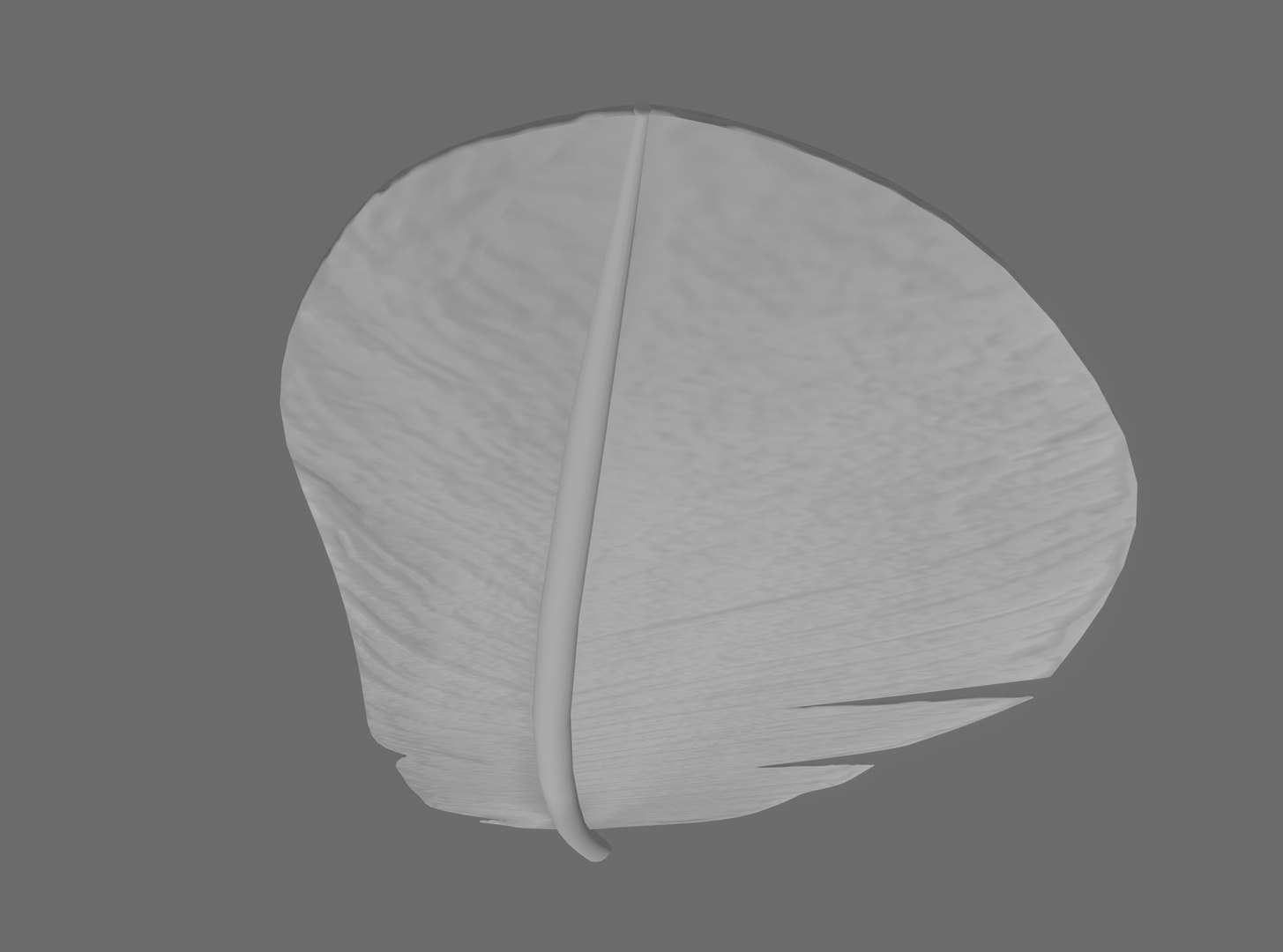 3D Quill Model - TurboSquid 1663207