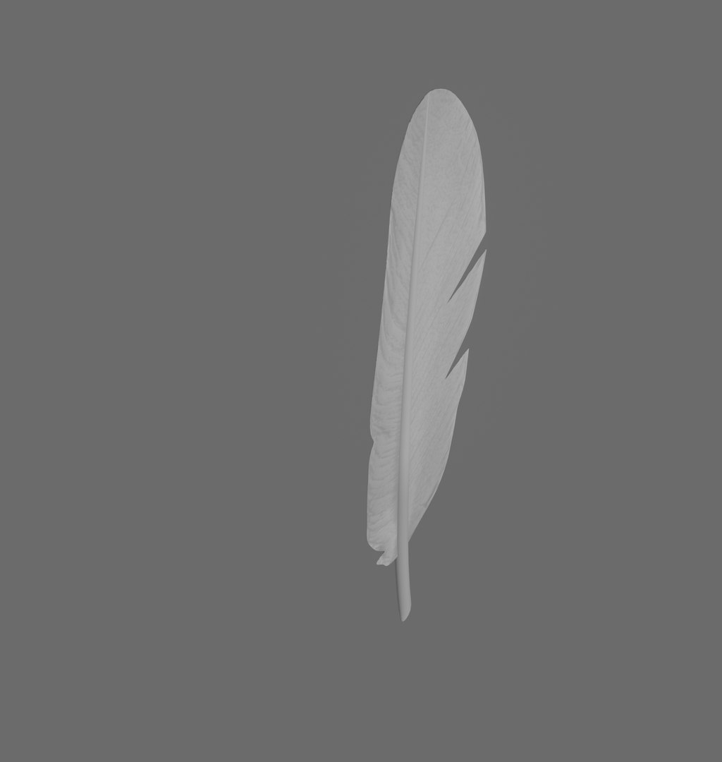 3D Quill Model - TurboSquid 1663207